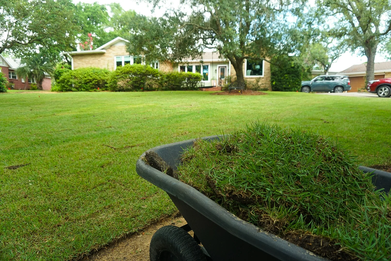 Sod Installation in Panama City, FL